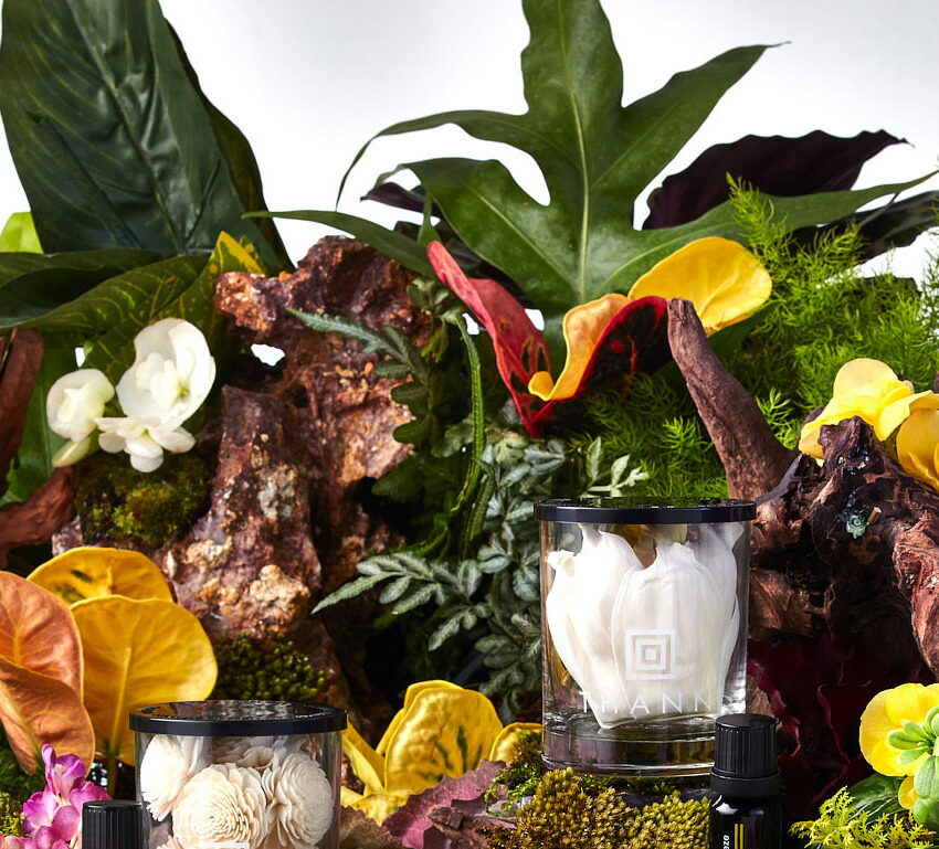 【楽天市場】【THANN/タン 公式】エッセンシャルオイルEB 10mL《エデンブリーズ》ルームフレグランス アロマ スティック リード ディフューザー ソラフラワー タイ 天然 精油 オイル ...