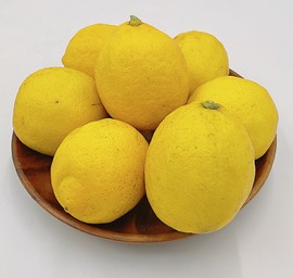 【楽天市場】レモン 秀品5kg M-3L 愛媛県産 (期日指定できません)：中国四国のスーパー・フジの通販