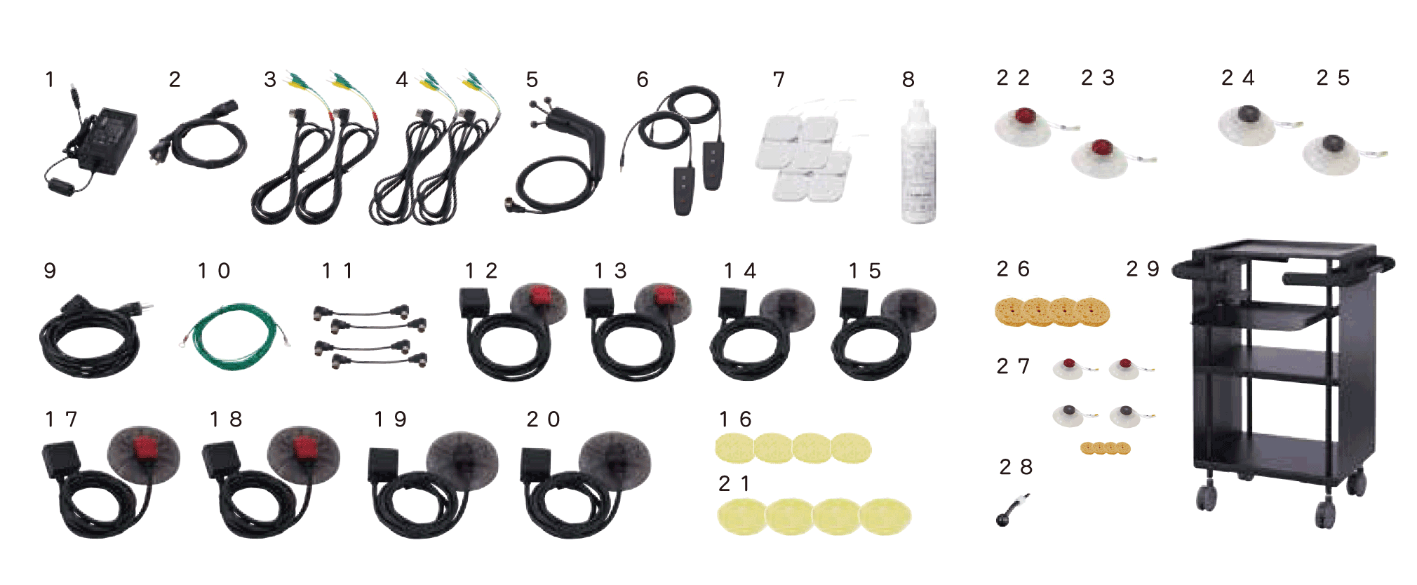 【楽天市場】フィジオ5D 3D吸引導子コード（吸引装置・赤・−極・M） P-5D-B006 酒井医療 人気 安い 効果 疲労 痛み：治療用品直売所