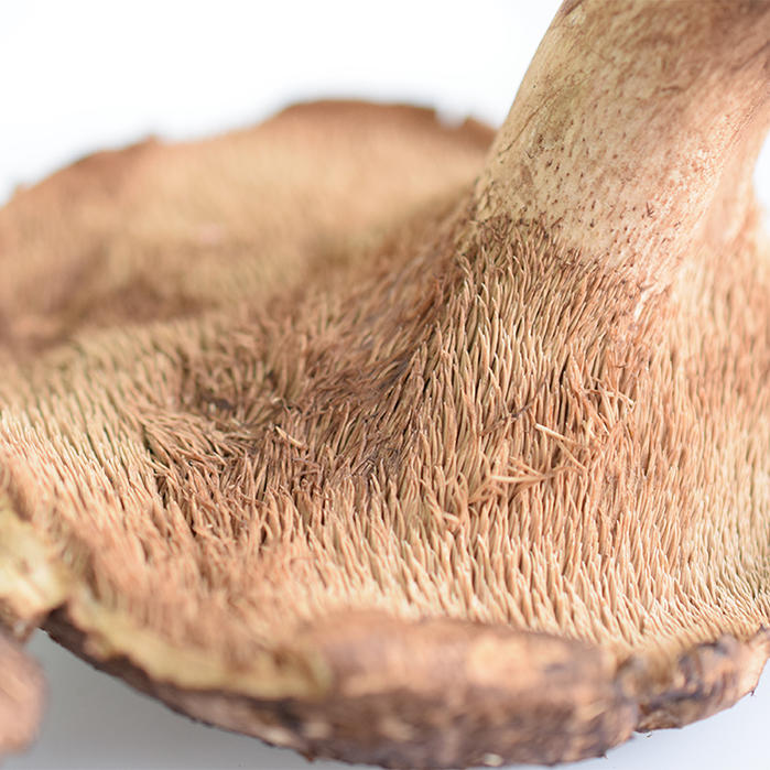 【楽天市場】フレッシュ フランスきのこ コウタケ（香茸 こうたけ）＜フランス産＞【250g】【冷蔵品】：東京468食材