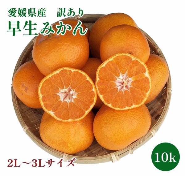 【楽天市場】【愛媛県産】訳あり 早生みかん10kg (2L～3Lサイズ混合)【送料無料】西宇和・八幡浜みかん：愛媛のやおやさん