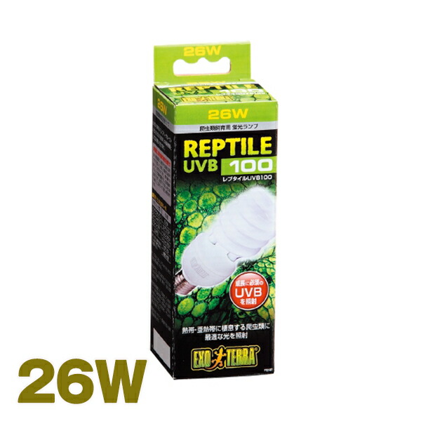 【楽天市場】レプタイルUVB100 26W PT2187 GEX(ジェックス) 爬虫類 両生類 ライト 電球 熱帯 ジャングル 亜熱帯 UVB トカゲ カメ ヘビ ホシガメ カメレオン ヒル ...