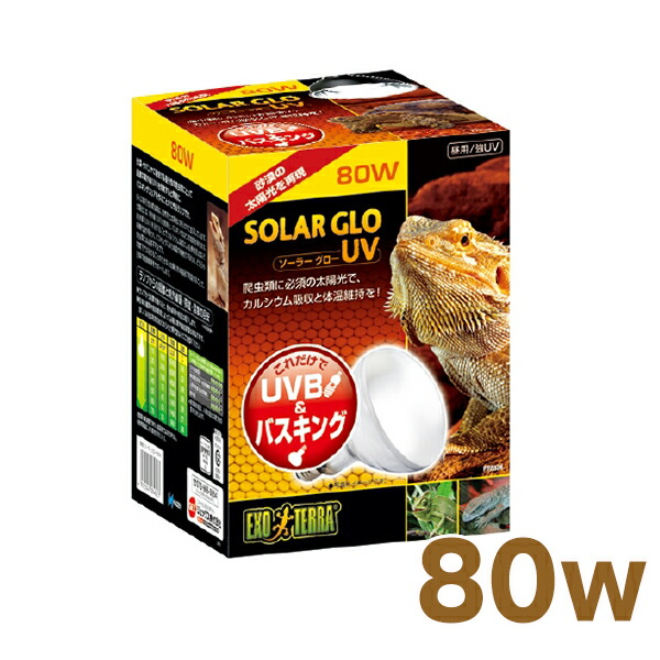 【楽天市場】ソーラーグローUV 80W PT2334 GEX（ジェックス） 爬虫類 両生類 ランプ 電球 バスキング UVB 保温 太陽光 トカゲ カメ ヘビ カエル カメレオン：爬虫類用品店 ...