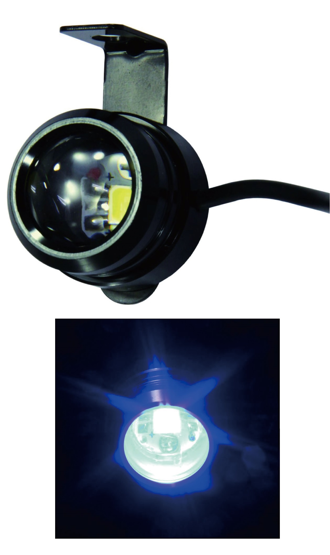 【楽天市場】JET INOUE ジェットイノウエ 502571 LD-01 LEDハイパワーストロボランプ 3W DC12V ブルー：トラ ...
