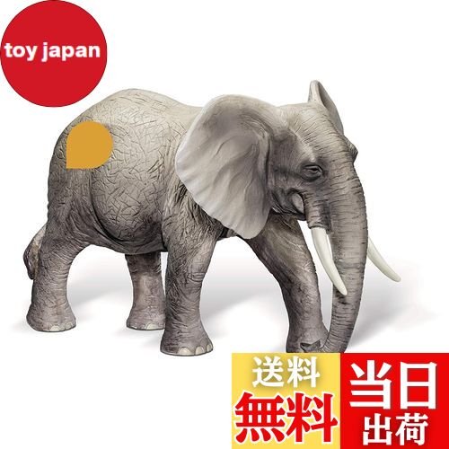 【楽天市場】【送料無料】キンダーメモリー 神経衰弱：toy japan