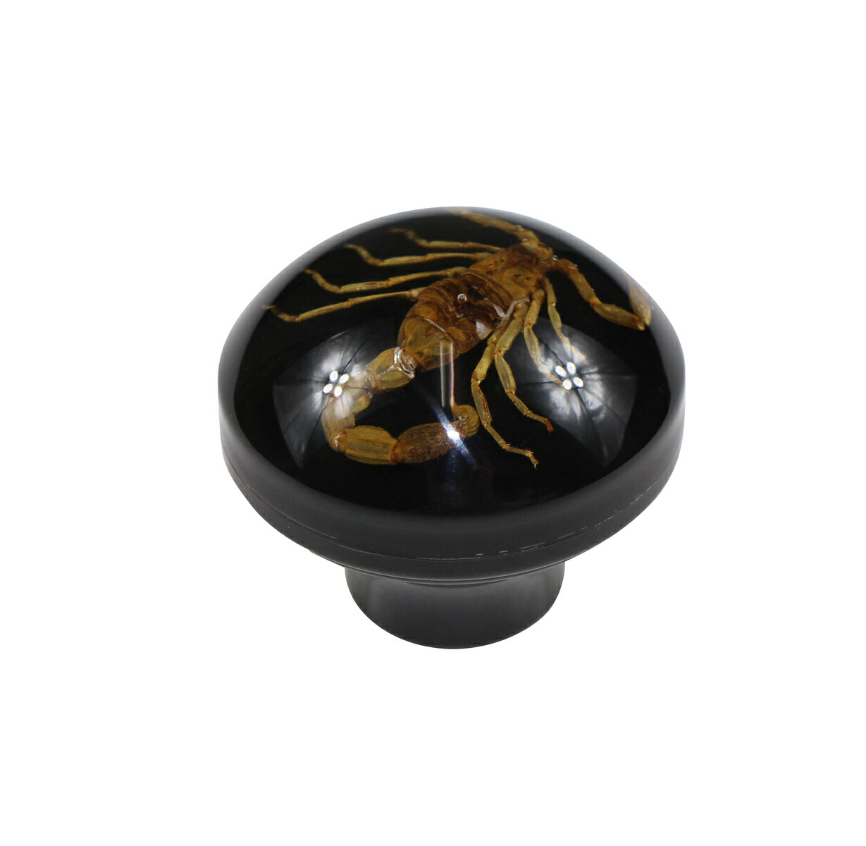 【楽天市場】JACKSUN'S [-SCORPION SHIFT KNOB- BLACK]：TRACK 楽天市場店