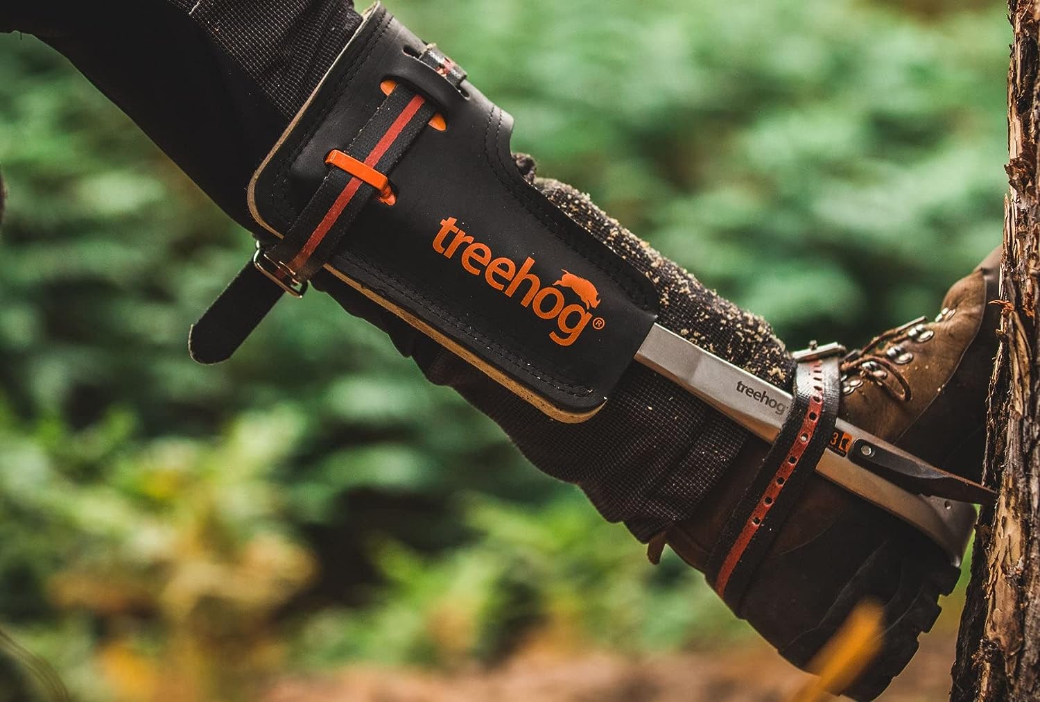 【楽天市場】Treehog Aluminum Tree Climbing Spikes アルミニウム ツリー クライミング スパイク スパー アーボリスト ツリークライミング ツリーケア ...