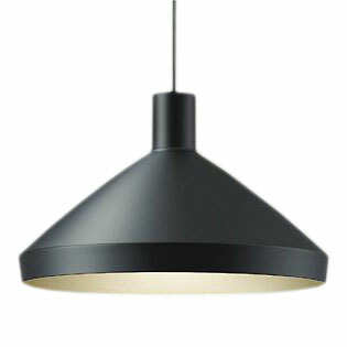 【楽天市場】DPN-41954YLEDペンダントライト 直付専用電球色 非調光 白熱灯100W相当 要電気工事大光電機 照明器具 おしゃれ 天井照明 吊下げ：照明ライト専門タカラshopあかり館