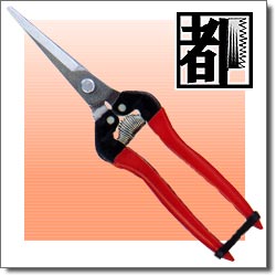 【楽天市場】アルス(ARS) 摘果鋏ロングタイプステンレス 300L-DX-BP 1本：DIY FACTORY ONLINE SHOP