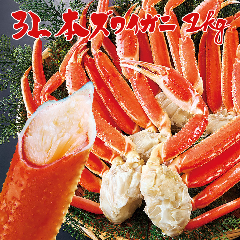 【楽天市場】【直送】 太い！ 3Lサイズ 本ズワイ脚肉 ボリュームセット 1セット ボイル 2kg 3L 日本直販 カニ かに 蟹 本ズワイ ずわいがに 冷凍 ゆで 足 脚 極太 太い 大型 ...