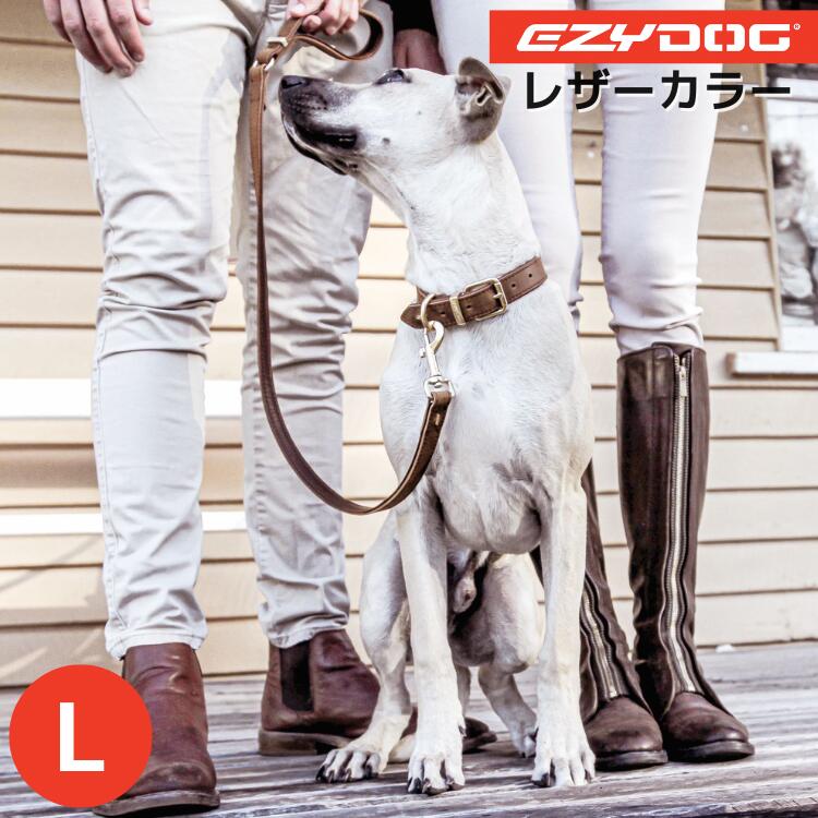【楽天市場】EZY DOG【レザーカラー L】犬用 首輪 プレミアムレザーコレクション イージードッグ：うちの子 お元気堂