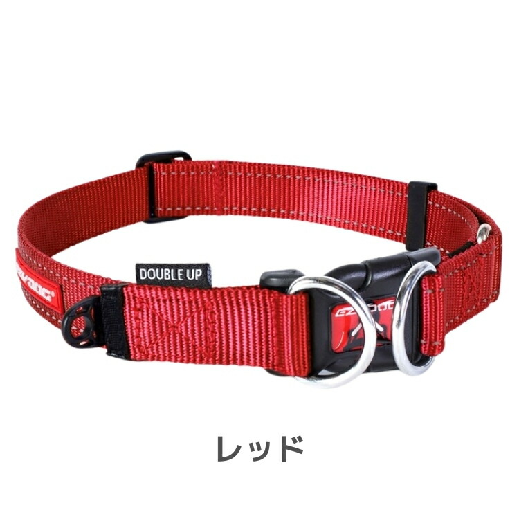 【楽天市場】EZY DOG 【ダブルロックカラー (Lサイズ)】 犬 カラー大型犬 イージードッグ 首輪：うちの子 お元気堂
