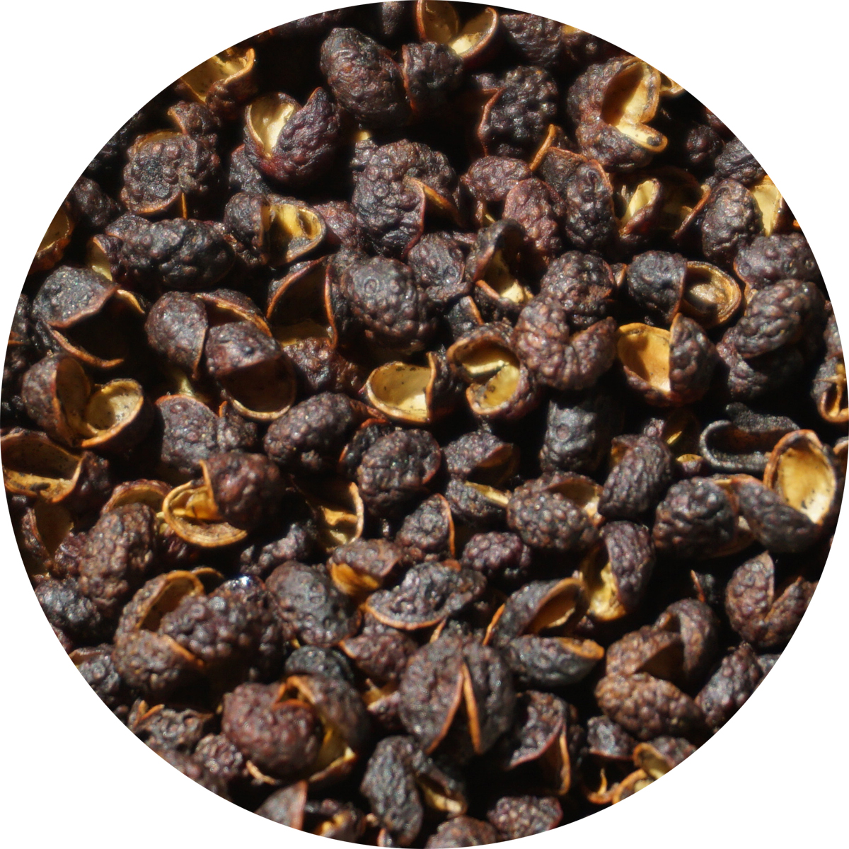【楽天市場】ティムール ペッパー アメ横 大津屋 timur pepper ティムットペッパー timut pepper ネパール ペッパー ...