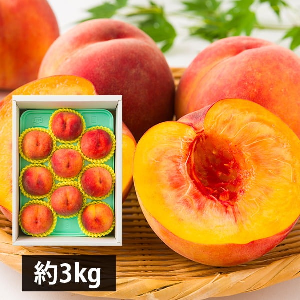 【楽天市場】予約受付中：8月下旬頃より発送予定|森谷果樹園の黄桃 紅黄金桃約3kg(8～10玉)：山形うまいずマーケット