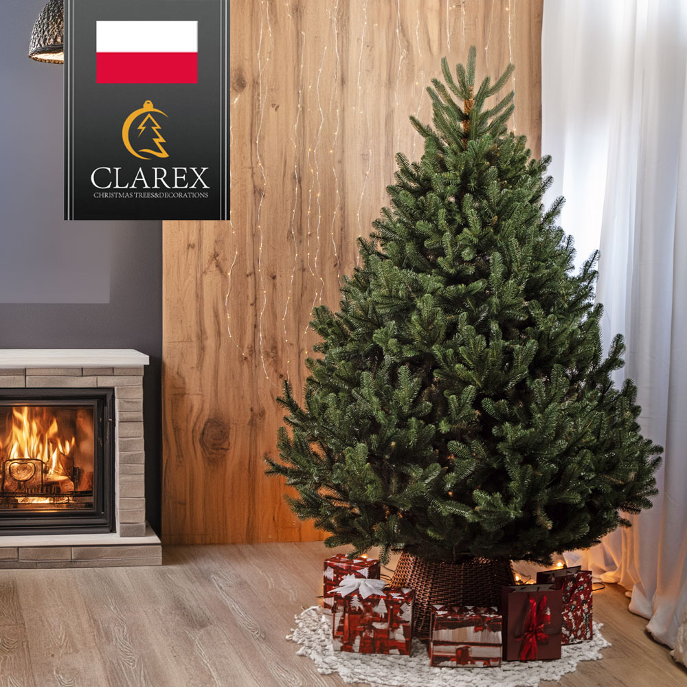 【楽天市場】ヨーロッパメーカー「CLAREX」社製のクリスマスツリー 北欧 おしゃれ 180cm 220cm 250cm ポーランド ヌード ...