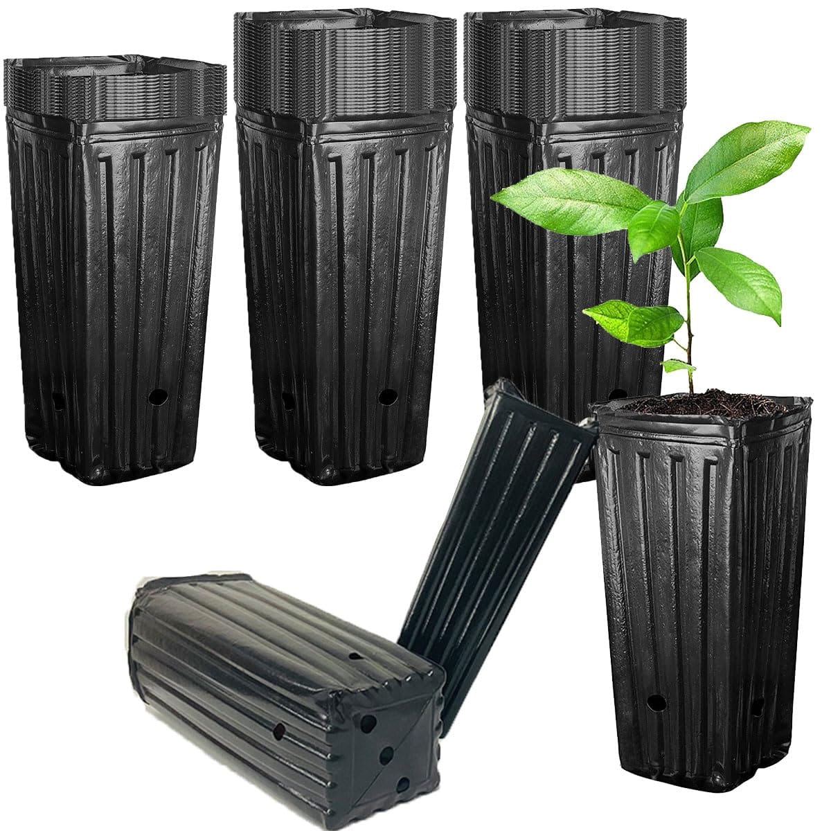 【楽天市場】SALUDABLE ポット 育苗ポット プランター 深型 ロング ポリポット 植木鉢 ビニール 苗：UNDARBAR