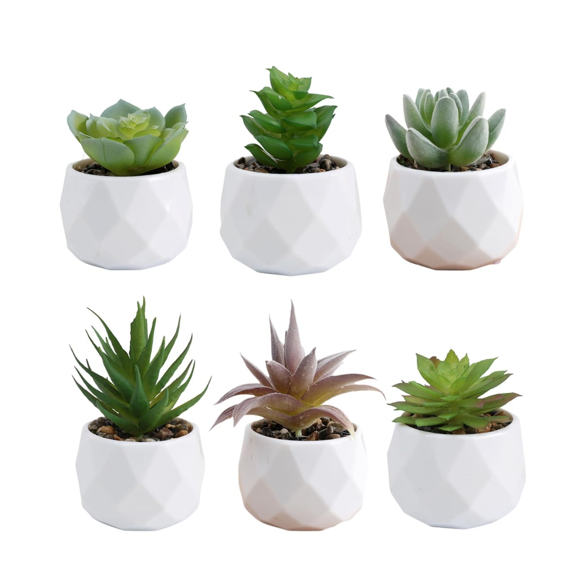 【楽天市場】Golspia フェイクグリーン デスク ミニ 卓上 エアプランツ 多肉植物 人工 観葉植物 造花 インテリア 6個：UNDARBAR