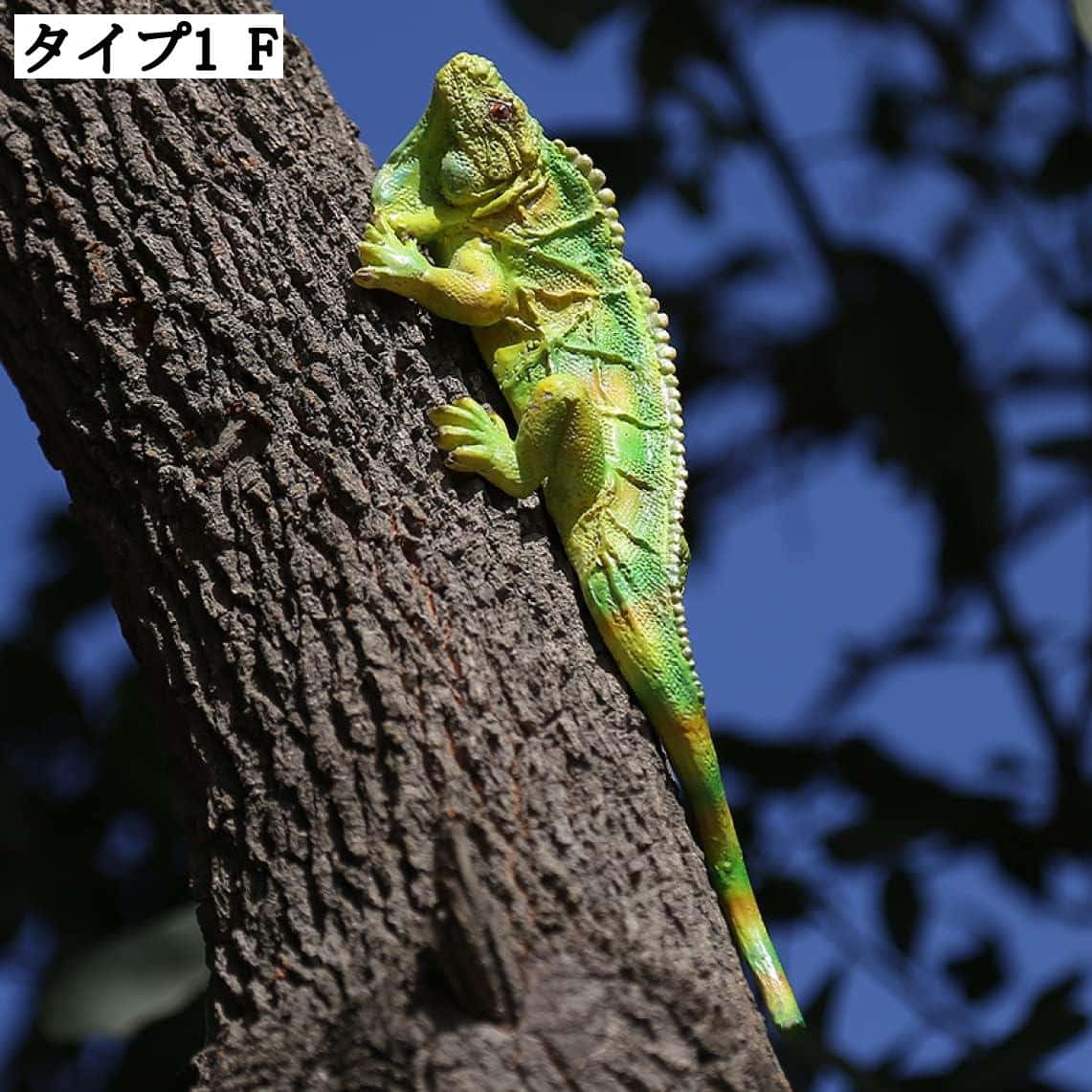 【楽天市場】ガーデンオーナメント ガーデニング置物 オブジェ 動物 インコ 鳥 本物そっくり 庭彫刻の装飾 オシャレな置き物 おもしろグッズ 庭に置く動物の置物 レジン製 ガーデン雑貨 玄関に ...