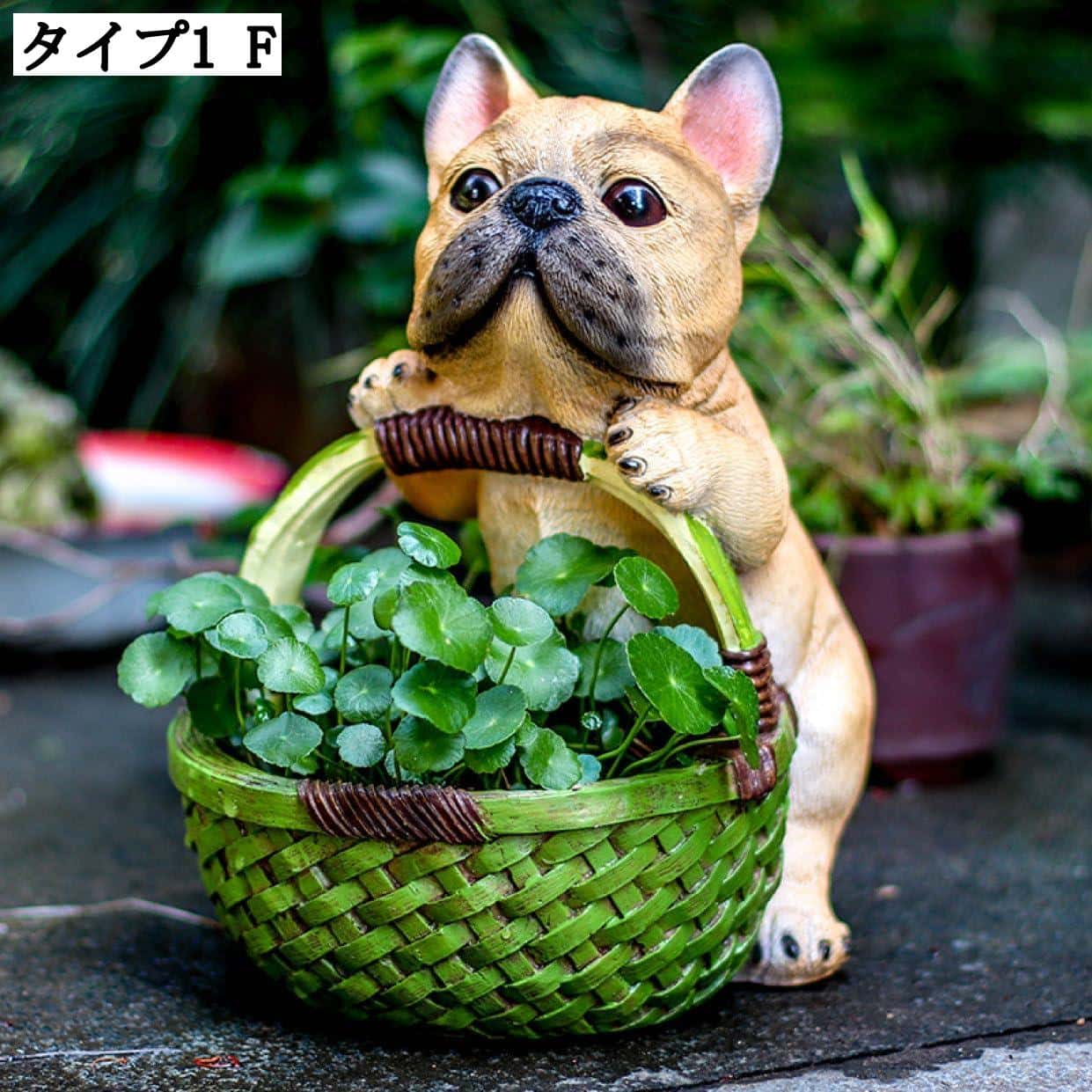 【楽天市場】水耕栽培 植木鉢 軽量 樹脂製 かわいい猫型 プランター 多肉植物用 サボテン鉢 盆栽用 ガーデニングインテリア 動物型 フレンチブルドッグ オブジェ 観葉植物鉢 水切れ良い ...