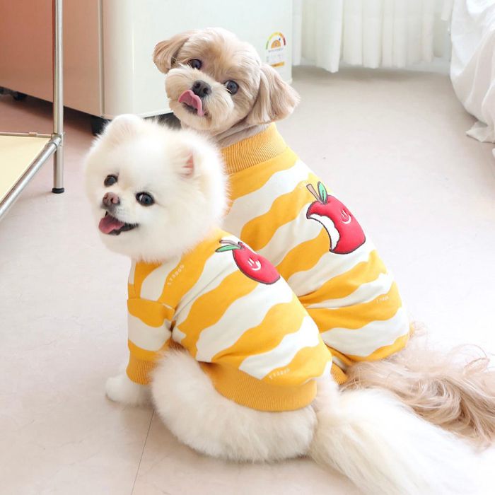 【楽天市場】※予約販売【ITS DOG】Yummy Apple Mtm ITS DOG Yummy Apple Mtm 韓国 犬用品 ドッグ ...