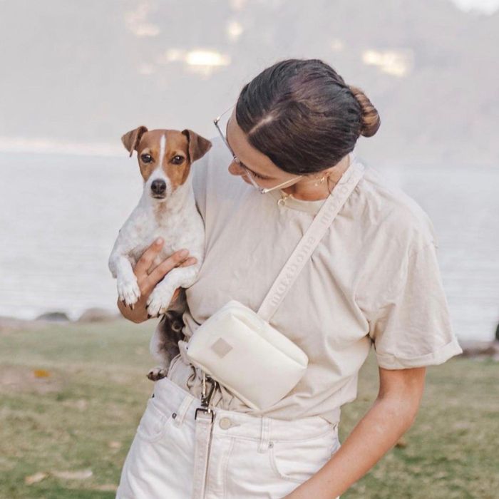 【楽天市場】即納【max bone】Mini GO! With Ease Pouch 韓国 ブランド かわいい おしゃれ プレゼント 小型犬 ドッグウェア バッグ リード マナー用品 散歩 ...