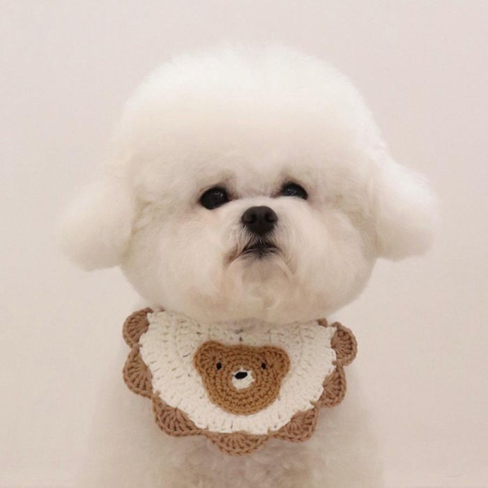 【楽天市場】即納【Chiot】Chiot×Seol n DAN cape（くま） 韓国 ブランド かわいい おしゃれ プレゼント 小型犬 ...