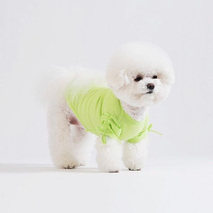 【楽天市場】即納【Sniff】GATHER SLEEVE RIB Tshirt（ネオングリーン） 韓国 ブランド かわいい おしゃれ ...