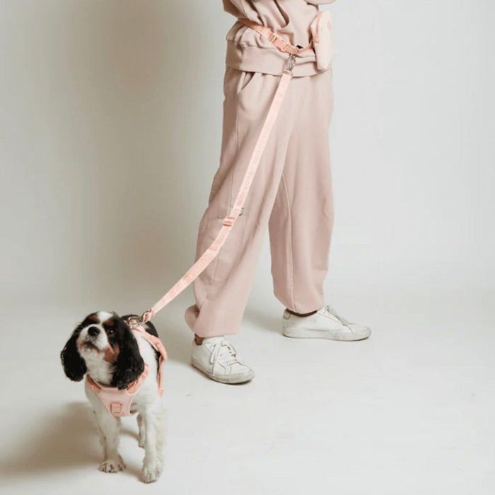 【楽天市場】即納【max bone】GO! With Ease Hands Free Leash アメリカ 犬用品 ドッググッズ リード 散歩 ...