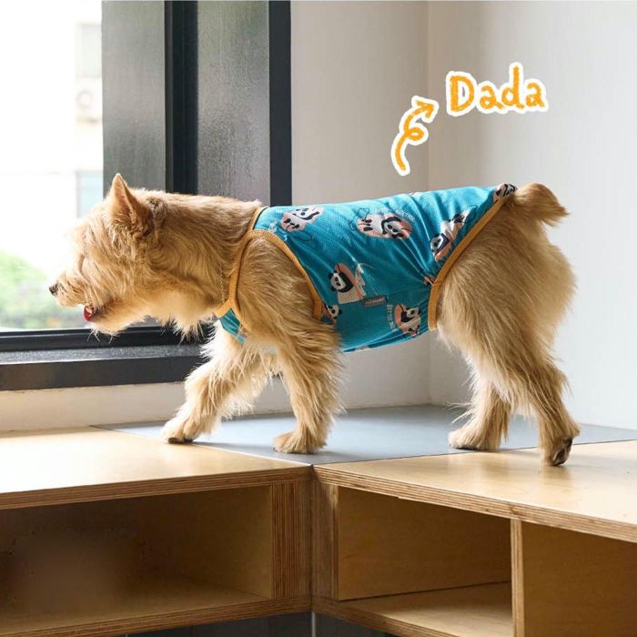 【楽天市場】※予約販売【munikund】Bug Guard-T-shirt（Dada） 韓国 ブランド かわいい おしゃれ プレゼント 小型 ...