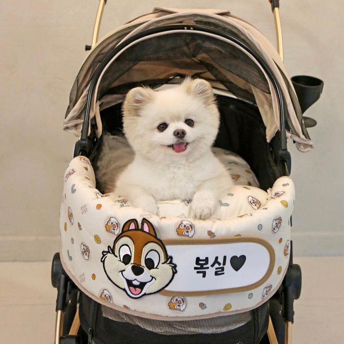 【楽天市場】※予約販売【ITS DOG】Disney Organic Stroller Comforter (Chip and Dale ...