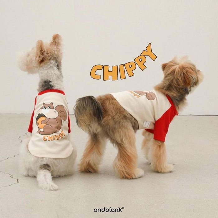 【楽天市場】即納【andblank】Chippy Raglan T-shirt 犬服 ドッグウェア 犬の服 小型犬 小型犬服 犬用品 ドッグ ...