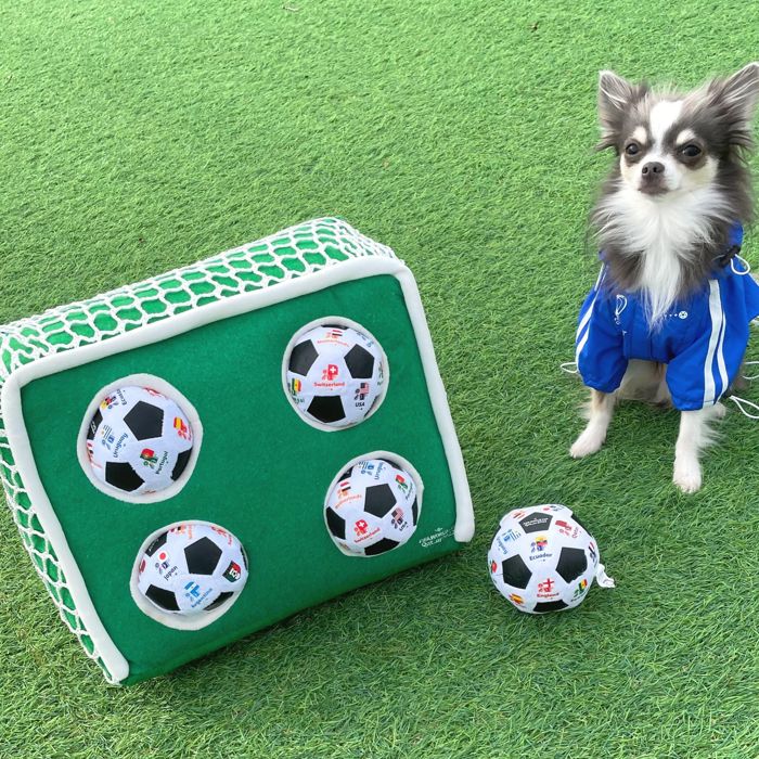 【楽天市場】即納【FIFA WORLD CUP QATAR 2022_】FIFA dog nosework goal toy サッカー 日本 ...