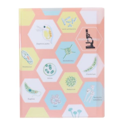 【楽天市場】A4クリアブックファイル ポケットファイル STUDY HOLIC 微生物学 Green Flash 新学期準備文具 おもしろ雑貨：雑貨＆アートの通販店ベルコモン