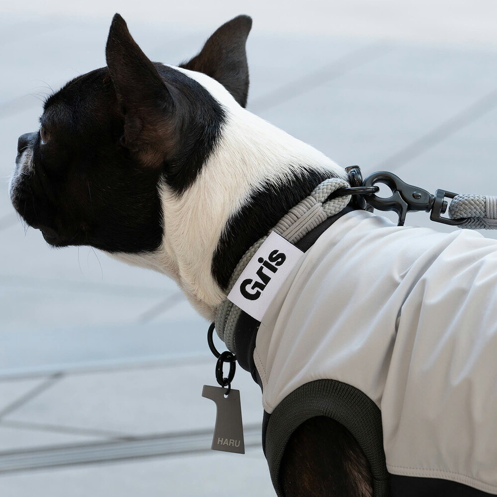 【楽天市場】グリ gris THE COLLAR LIMESTONE 30cm [GCL122101272]：vic2（ビックツー）