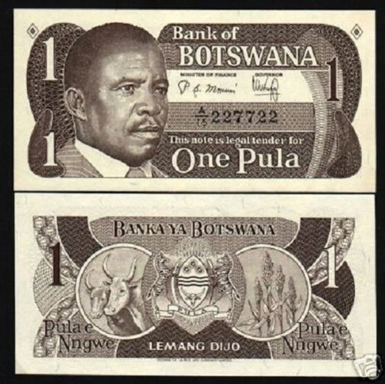 【楽天市場】ボツワナ 1 PULA P-6 1983年製 COW ZEBRA 希少レーダー #227722 UNC 紙幣：コインと紙幣 ...