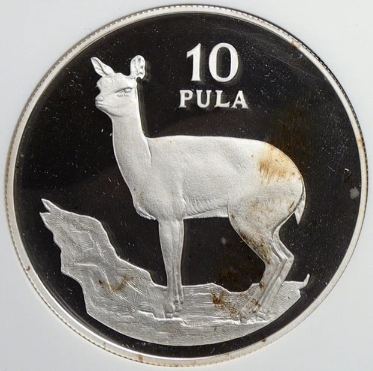 【楽天市場】1978 ボツワナ クリップスプリンガー ヴィンテージ オールド プルーフ シルバー 10 プラ コイン NGC i105848：コインと紙幣 WORLD RESOURCE