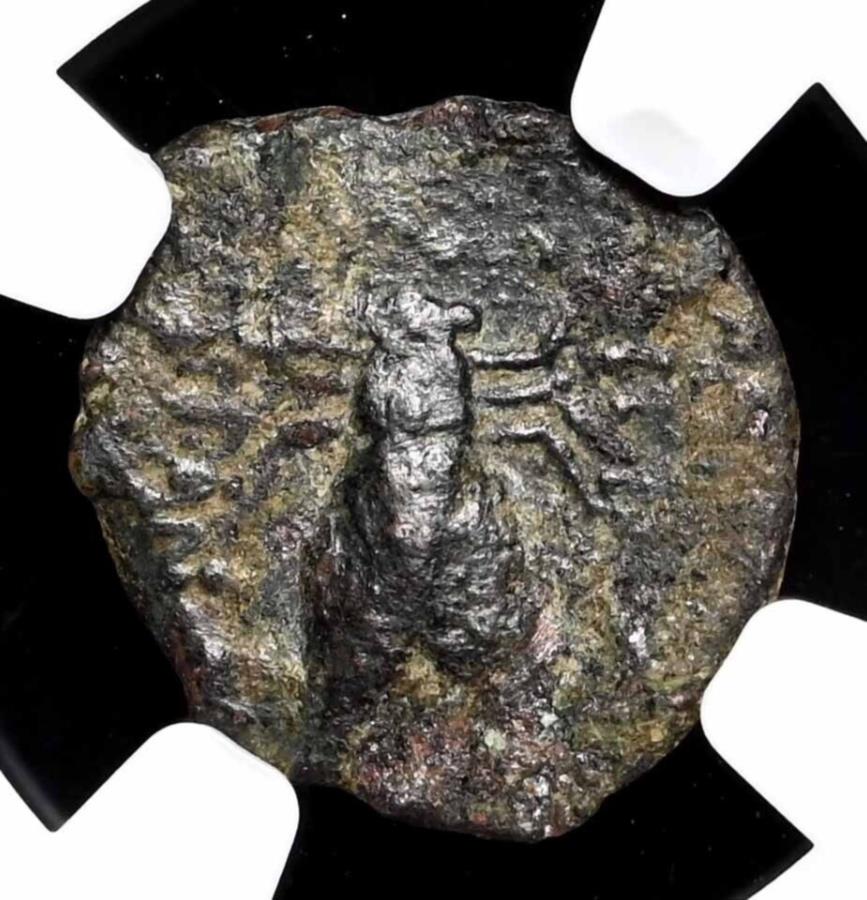 【楽天市場】セレウキッド王国。 Antiochos VIII Epiphanes（グリポス）、CICADA、超レア！ NGC VF ...