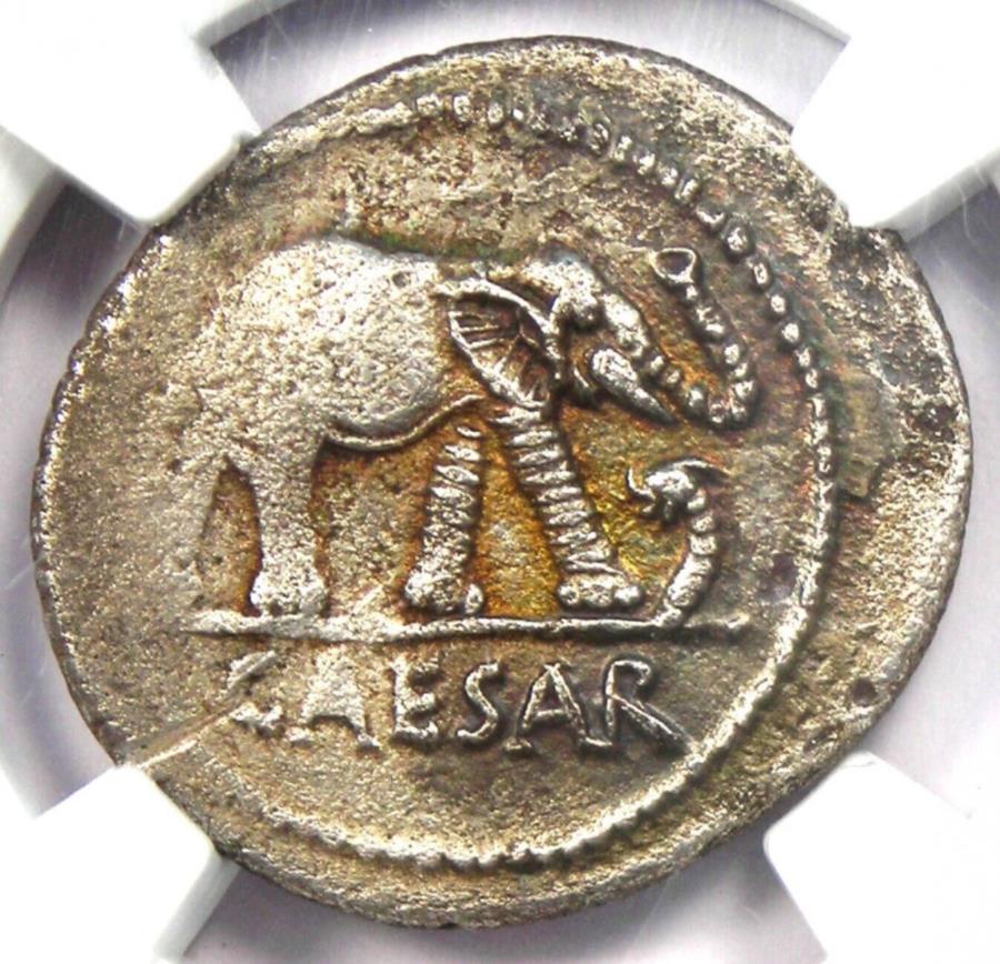 【楽天市場】Julius Caesar Ar Denarius Silver Elephant Roman Coin 49 BC ...