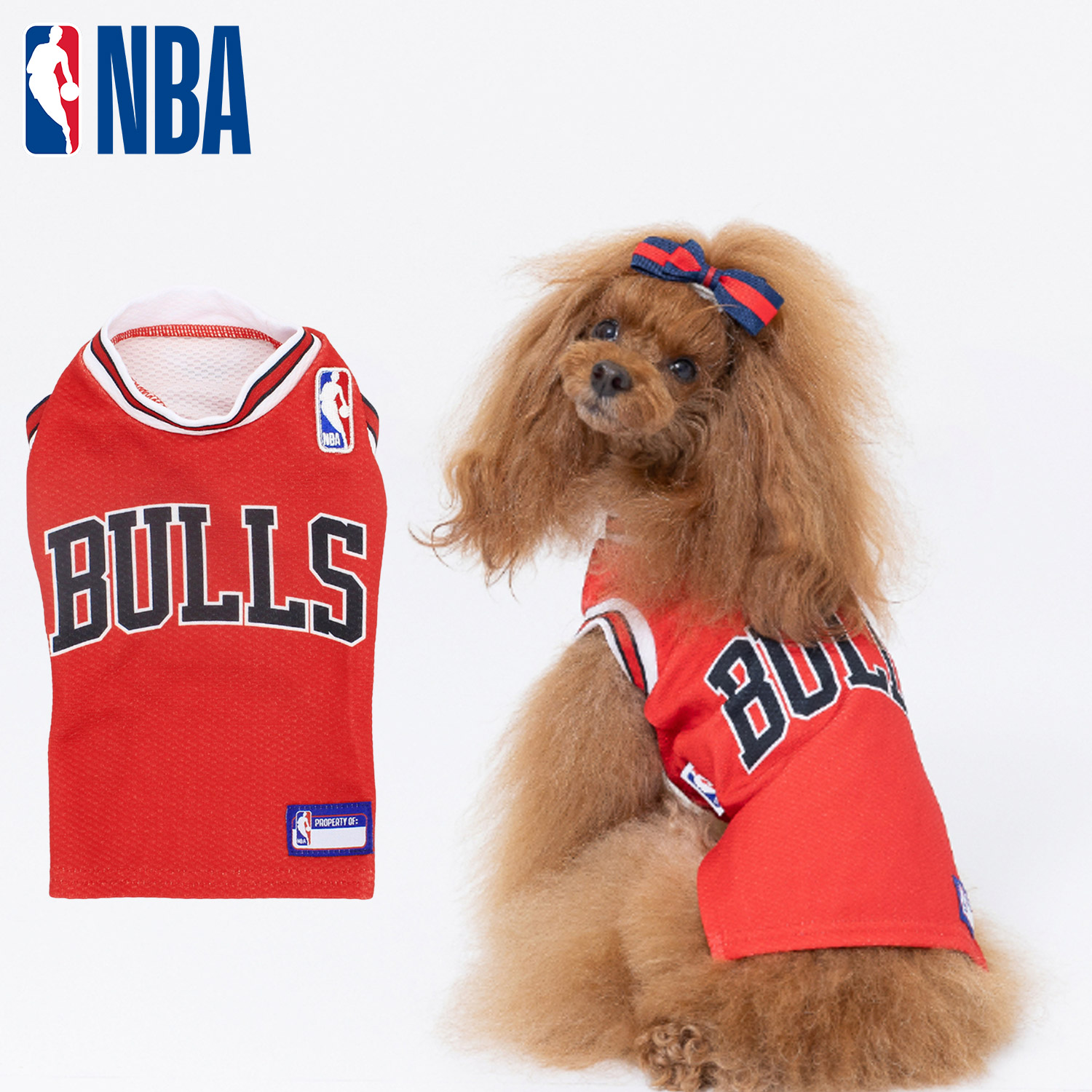 【楽天市場】【最大1000円OFFクーポン発行中】 NBA Chicago Bulls エヌビーエー 犬服 ドッグウェア ペット NBA ...