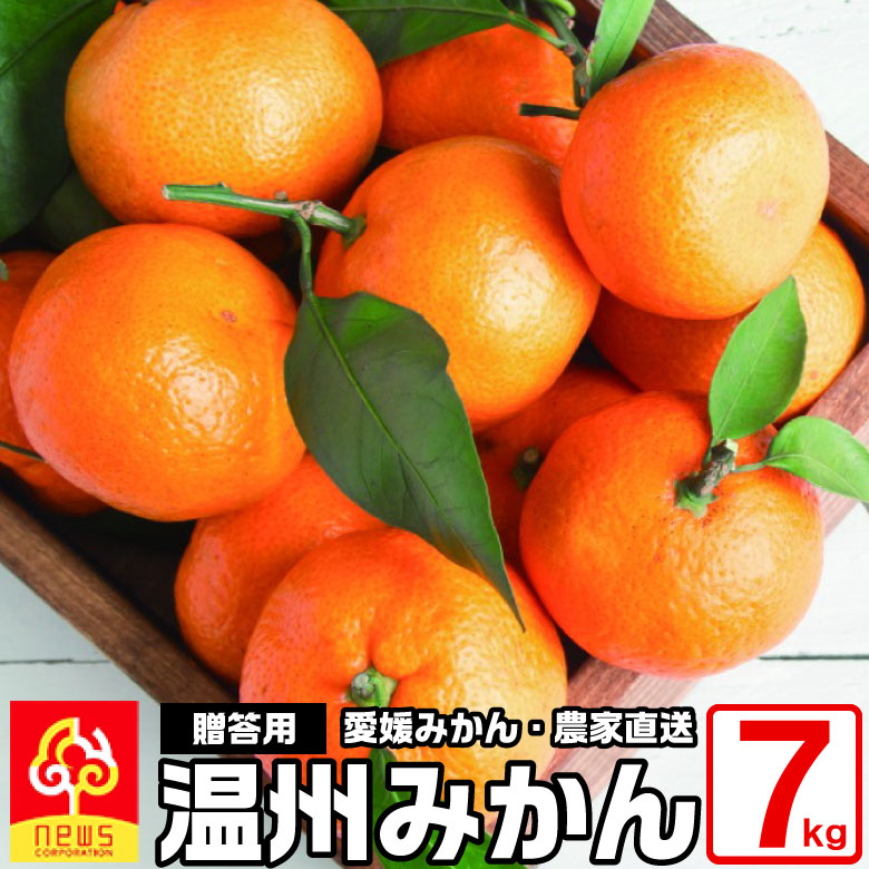 【楽天市場】【11月発送】愛媛 みかん：温州みかん《7kg/M or L /50～75玉/バラ詰》手軽さ、むきやすさ、食べやすさ、そして美味しさがそろった定番みかん本氣のみかんで幸せを届ける ...