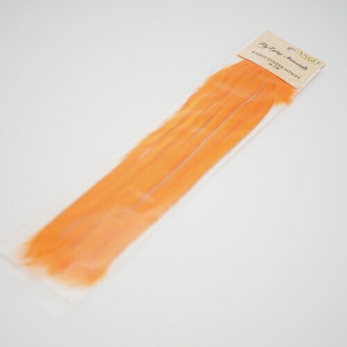 【楽天市場】【日本正規品 13時まで当日出荷】ラビットゾンガー6ストリップ ANGLE（アングル）：WEST WEB STORE