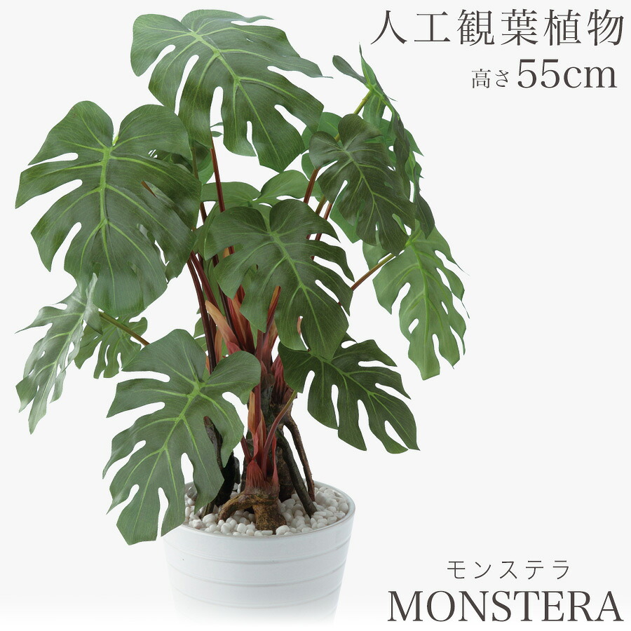 【楽天市場】人工観葉植物 観葉植物 造花 フェイク フェイクグリーン 卓上 ミニ リビング デスク グリーン 緑 ミニ観葉 水やり不要 お