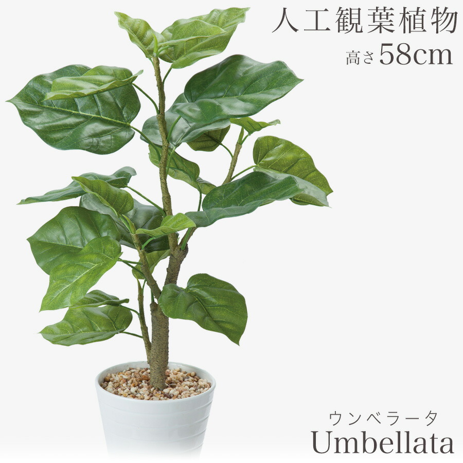 【楽天市場】【ポイント10倍 10日23:59まで】人工観葉植物 観葉植物 造花 フェイク フェイクグリーン リビング デスク グリーン 緑 ミニ観葉 水やり不要 お手入れ不要 インテリア ...