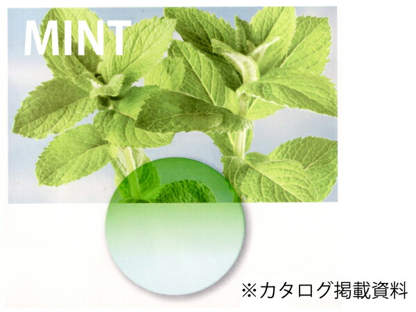 【楽天市場】【レンズ交換オプション】カラーレンズ「ミント」＜ツインカラー＞ LENS-MINT-T 伊達メガネ 老眼鏡 度付き 遠近両用レンズ ...