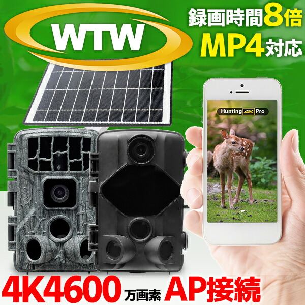 【楽天市場】【4K 30fps AP接続 mp4】WTW 塚本無線 防犯カメラ トレイルカメラ ソーラー充電 長時間録画 MP4形式 乾電池 4K 4600万画素 遠隔監視 内蔵バッテリー ...