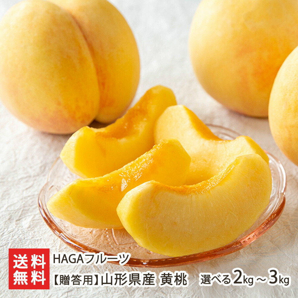 【楽天市場】【贈答用】山形県産 黄桃 選べる 2kg（5～9玉） ～ 3kg（7～13玉） HAGAフルーツ フルーツ 果物 フルーツギフト もも モモ おうとう オウトウ 寒河江市 山形県 ...