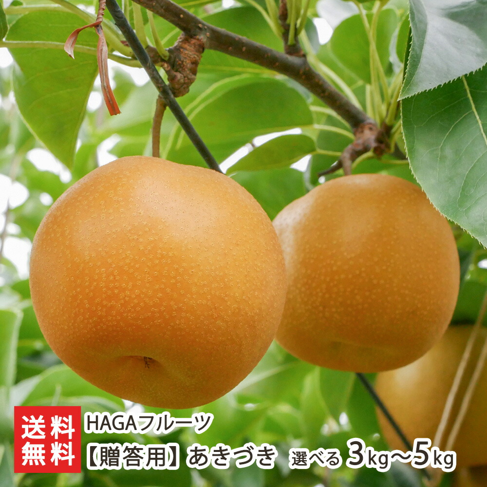 【楽天市場】【贈答用】山形県産 あきづき 選べる 3kg（5～8玉） ～ 5kg（7～12玉） HAGAフルーツファーム フルーツ 果物 フルーツギフト なし 梨 和梨 あきづき梨 寒河江市 ...