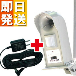 【楽天市場】ガーデンバリア GDX-2 専用アダプタセット 猫被害防止機 高所取付タイプ【 ユタカメイク 正規代理店 猫除け 猫被害 猫対策 猫 ねこ ネコ 猫侵入防止 ネコ被害 猫退治 ネコ ...