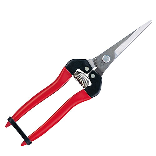 【楽天市場】[2個までゆうパケ対応]アルス 摘果鋏エクストラロングステン 300LL-DX-BP：御用待本舗 楽天市場店