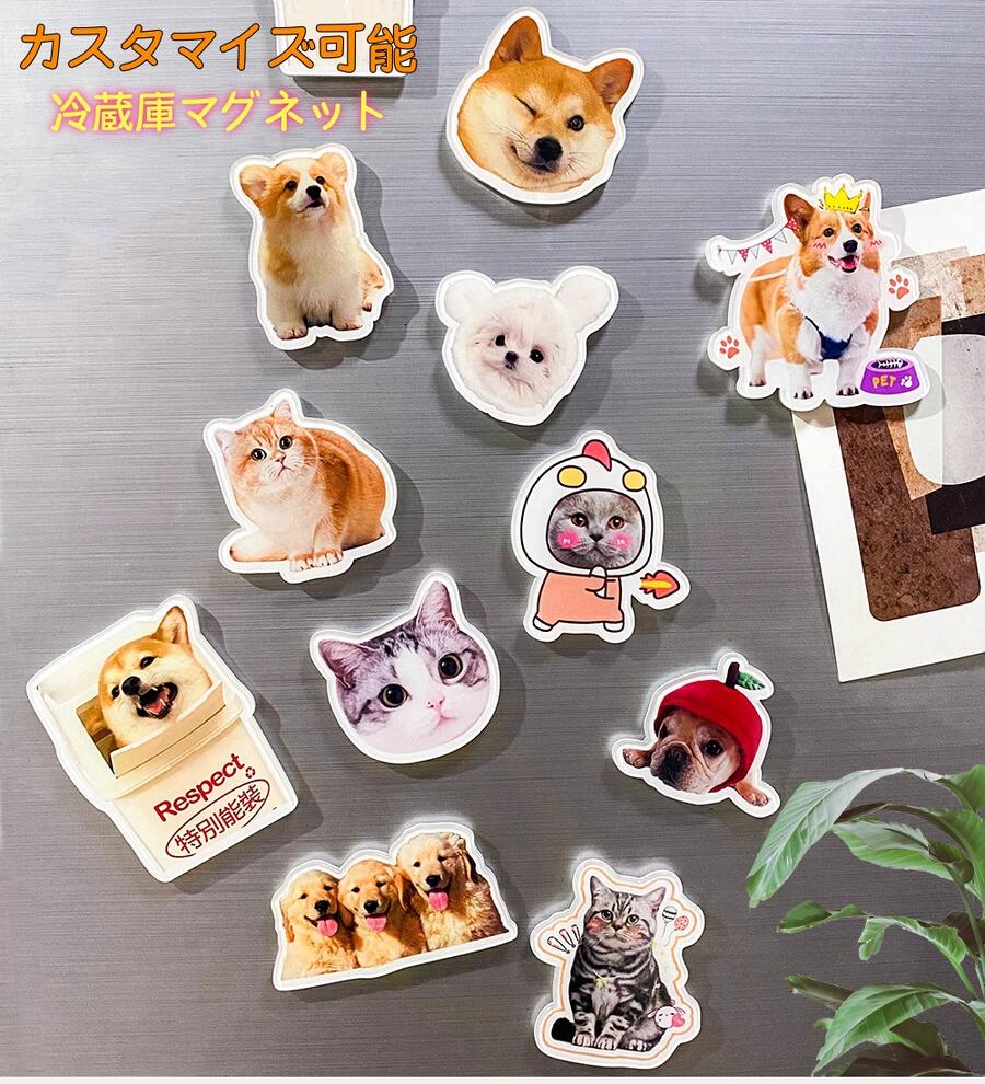 【楽天市場】\最大1200 OFFクーポン配布中／【オーダーメイド可】冷蔵庫マグネット 3個セット 高密度磁石 アクリル製 冷蔵庫/ホワイトボード対応 家族の一員 犬・猫・小動物 記念グッズ ...